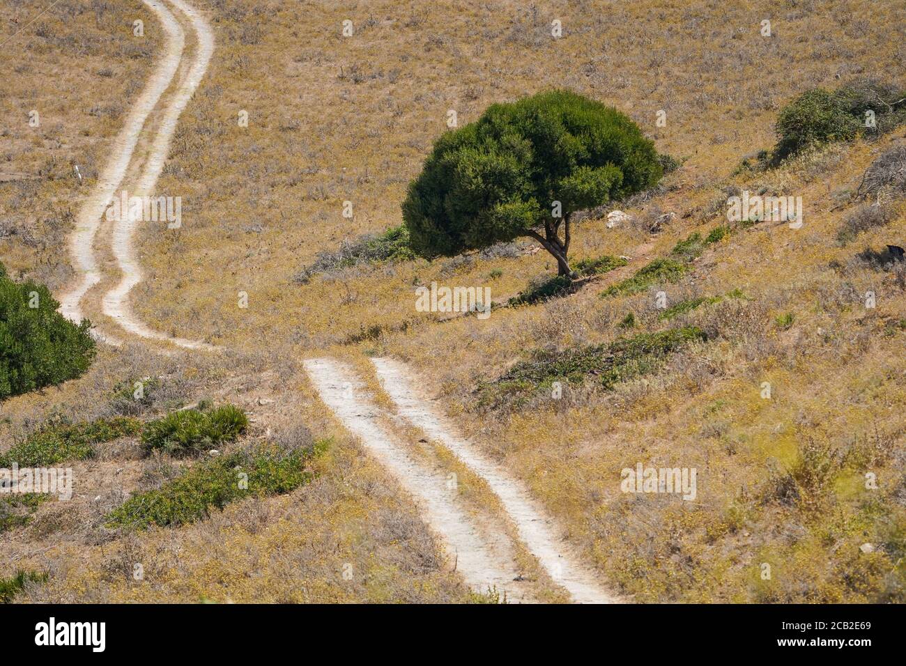Winding dirt track hi-res stock photography and images - Alamy