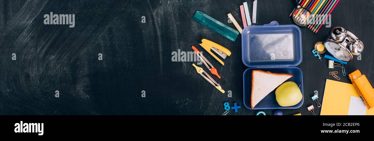 website header of lunch box with apple and sandwiches near school ...