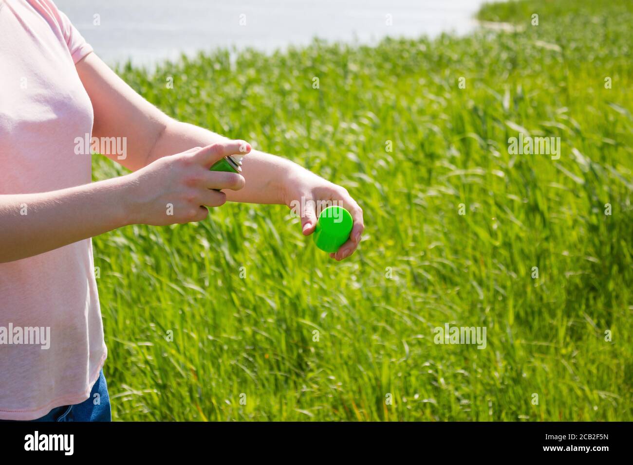 Woman using insecticide spray hi-res stock photography and images - Alamy