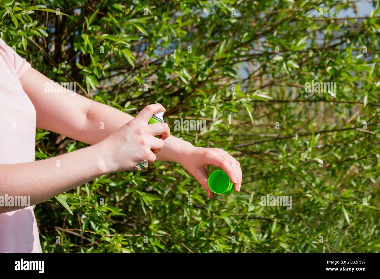 Woman using insecticide spray hi-res stock photography and images - Alamy