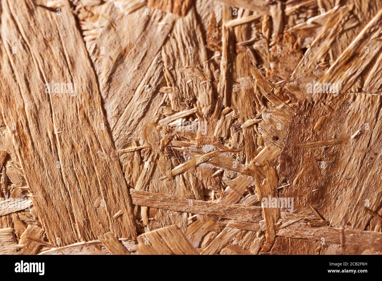background of wooden chipboard panels. Close-up. Macro effect photo ...