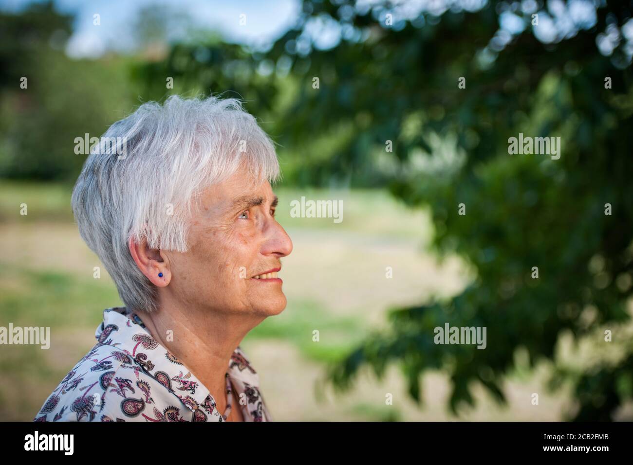 Head portrait in profile of a 79-year-old woman with white hair against ...