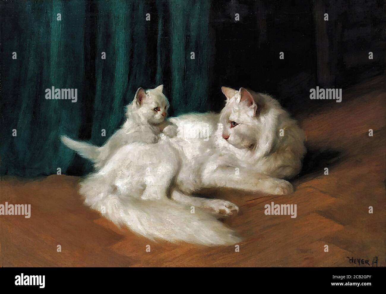Feline history hi-res stock photography and images - Alamy