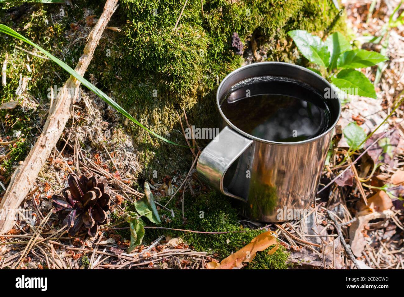 a mug of tea in the forest on an old stump with moss Stock Photo - Alamy