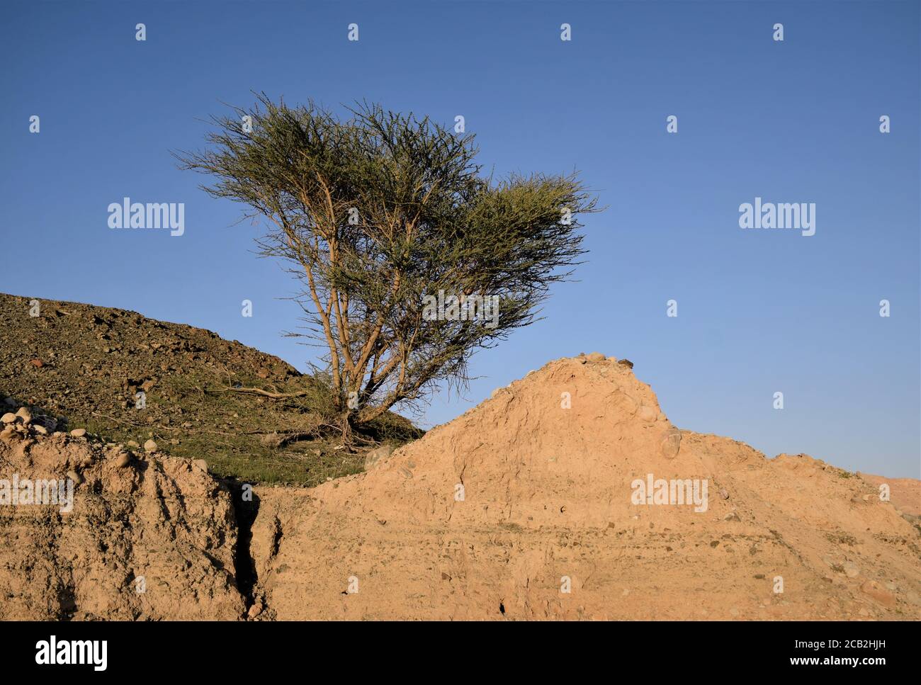 Road trip at the capital of Oman Muscat. Oman village life background ...