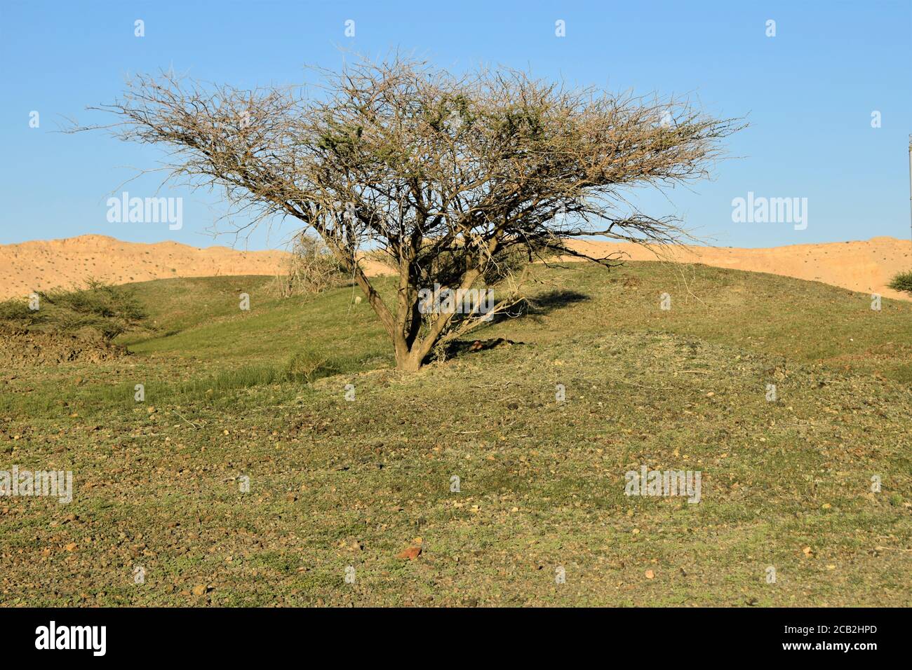 Road trip at the capital of Oman Muscat. Oman village life background ...