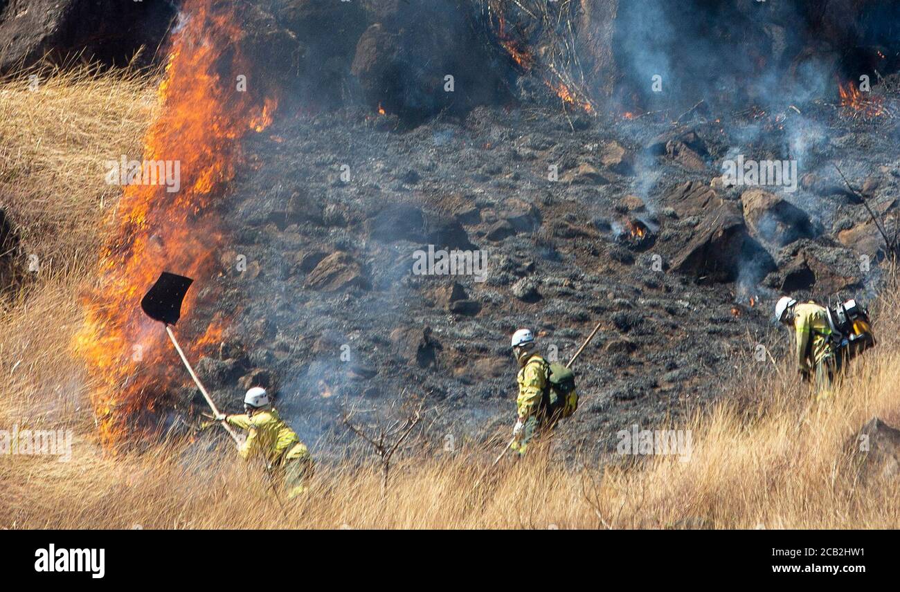Correas, Petropolis, Brazil, - August 09 2020 Firefighters of ICMBIO ...