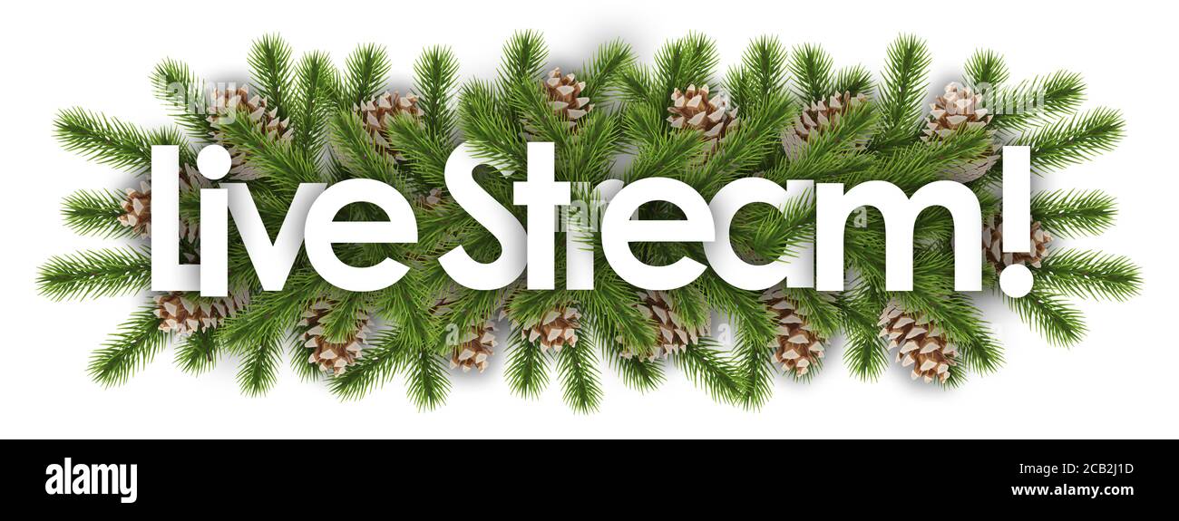 live stream in christmas background - pine branchs Stock Photo - Alamy