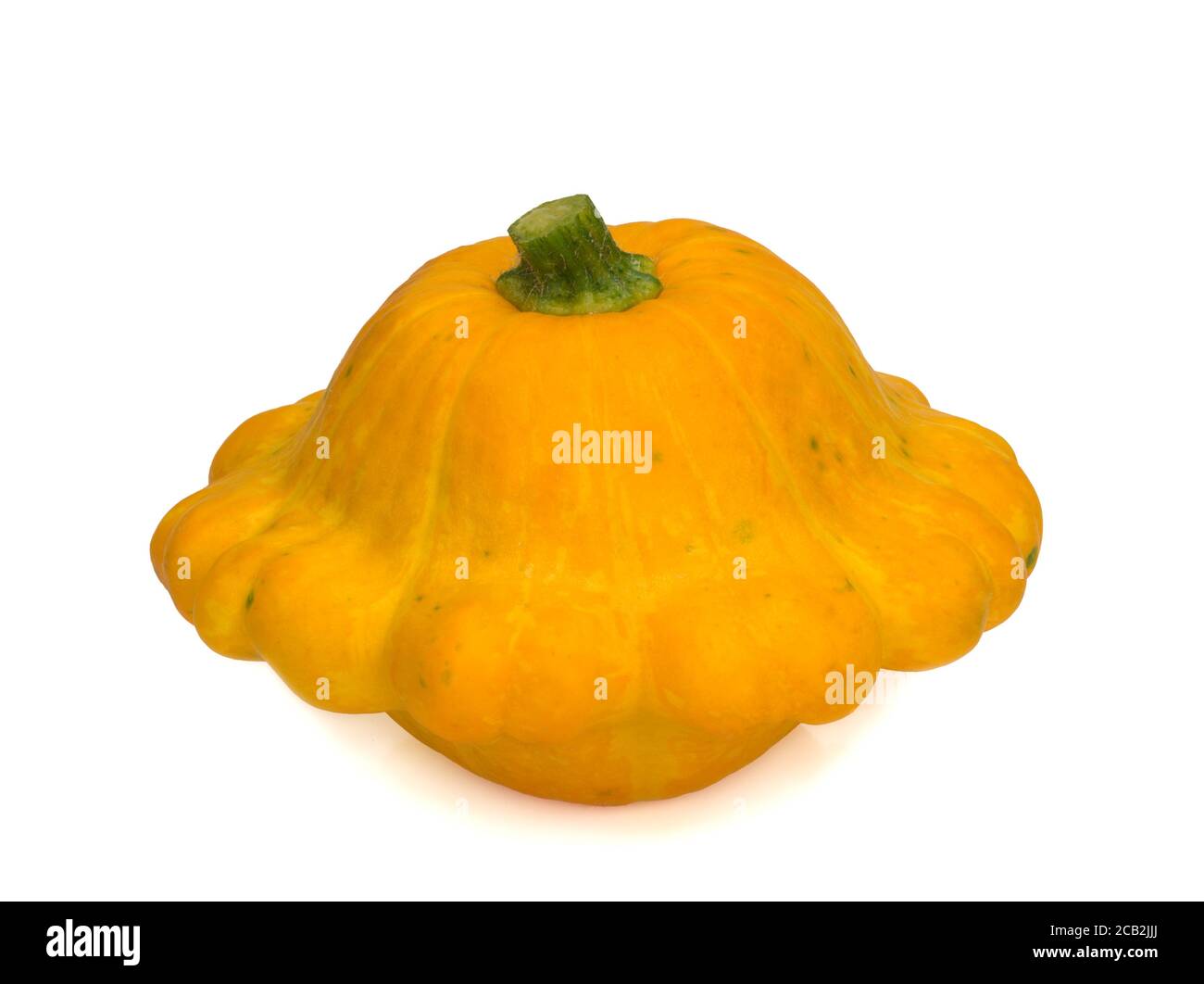 patisson squash closeup isolated on a white background Stock Photo - Alamy