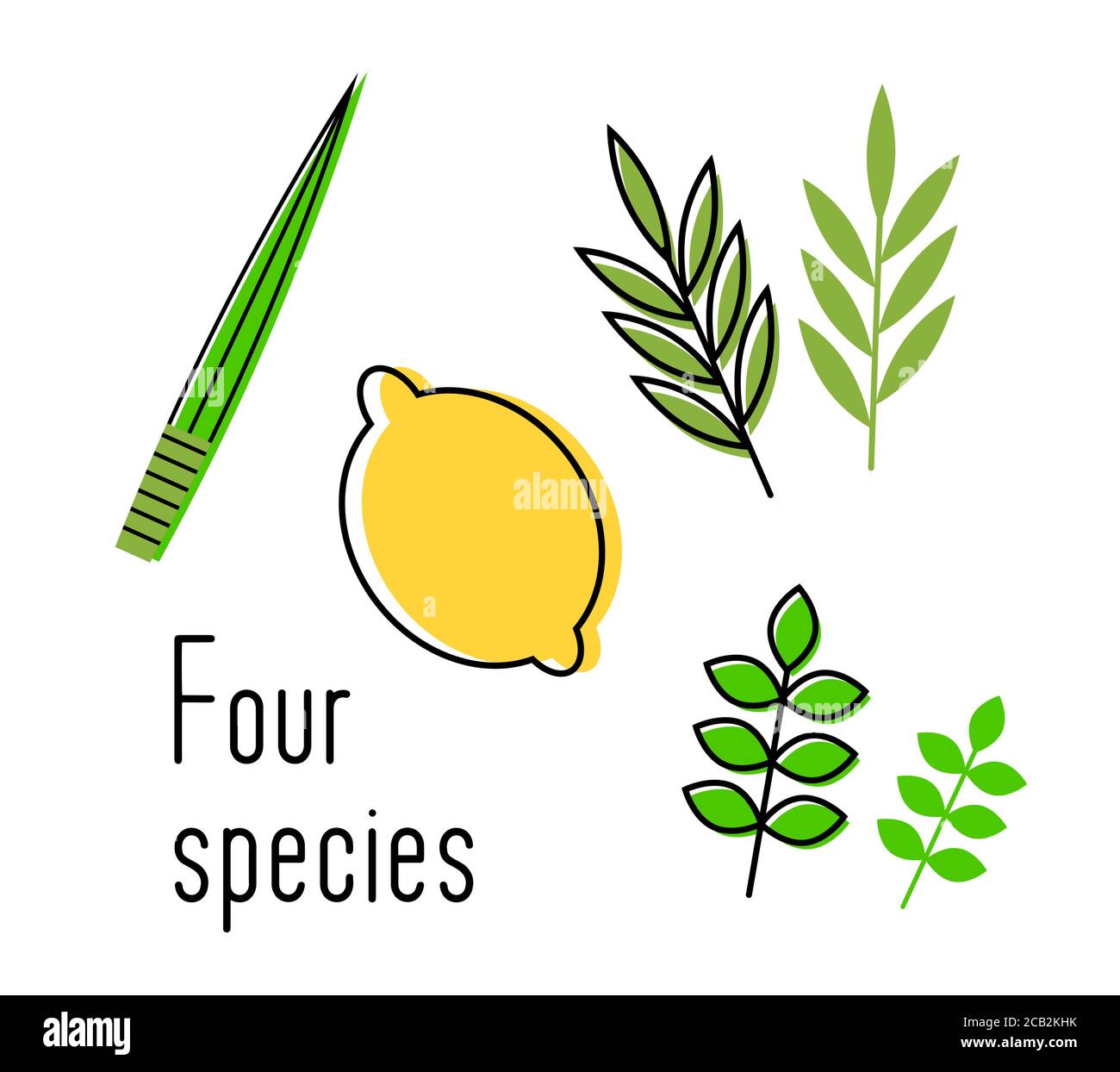 Traditional symbols etrog lulav Stock Vector Images - Alamy