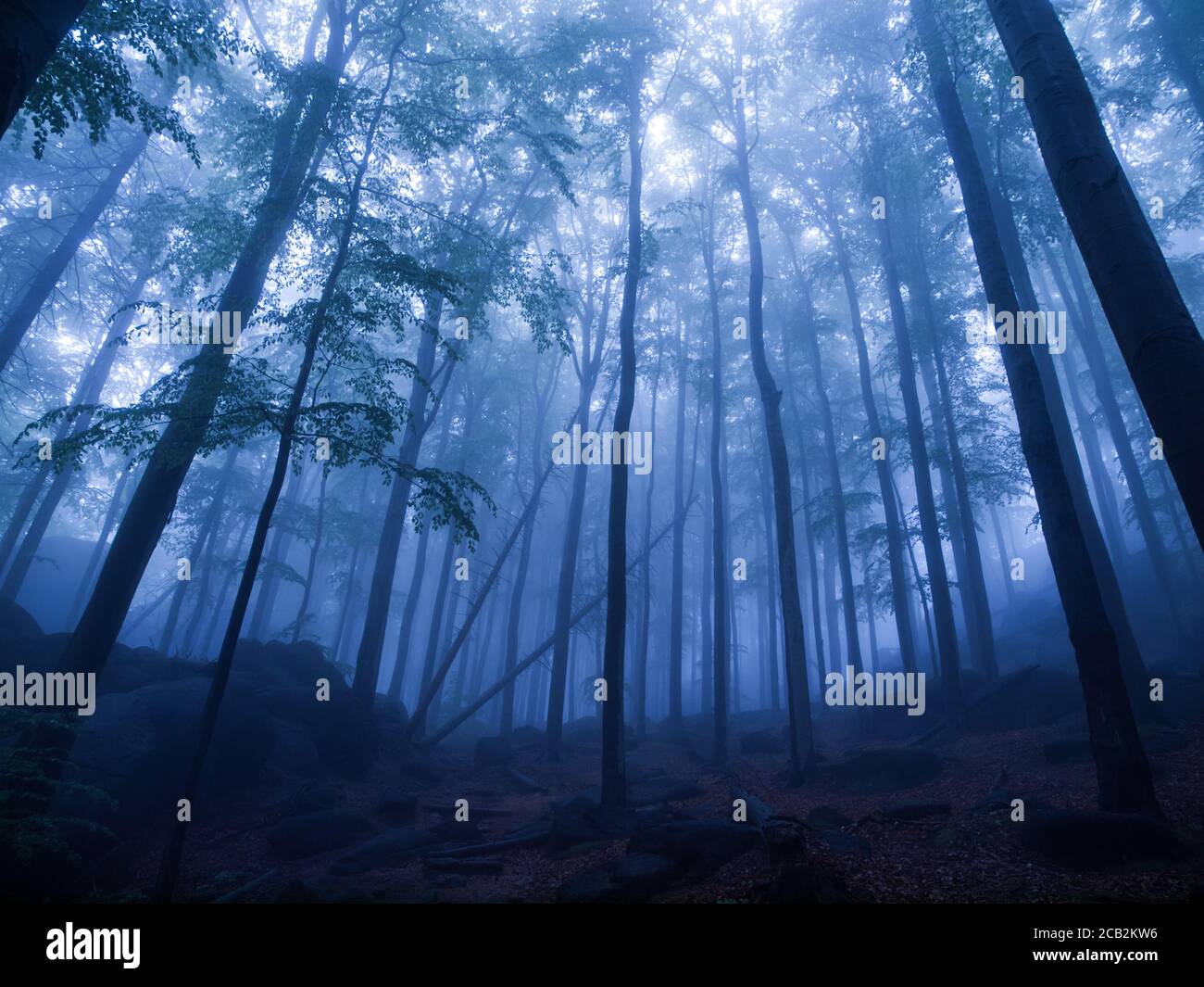 Blue tinge hi-res stock photography and images - Alamy