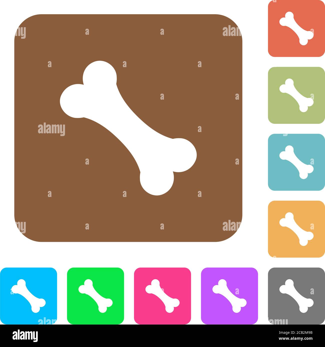 Single bone flat icons on rounded square vivid color backgrounds Stock ...
