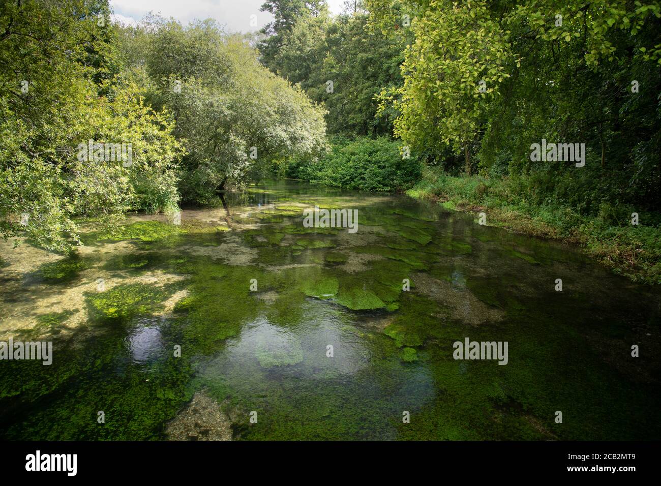 River itchen hi-res stock photography and images - Alamy