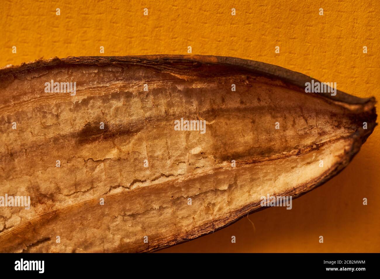 Ugly Banana High Resolution Stock Photography and Images - Alamy