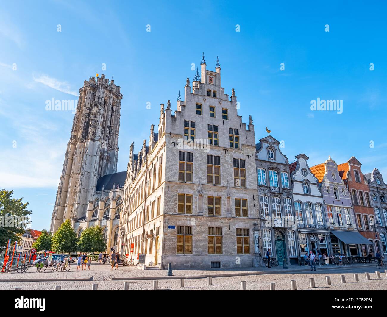 St. Rumbold's Cathedral in Brabantine Gothic style in the historic ...
