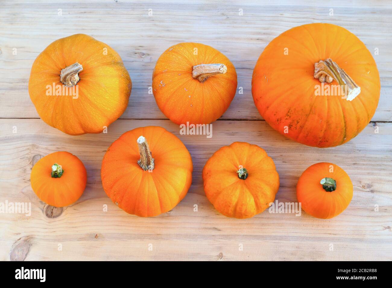 Veggie collection hi-res stock photography and images - Alamy