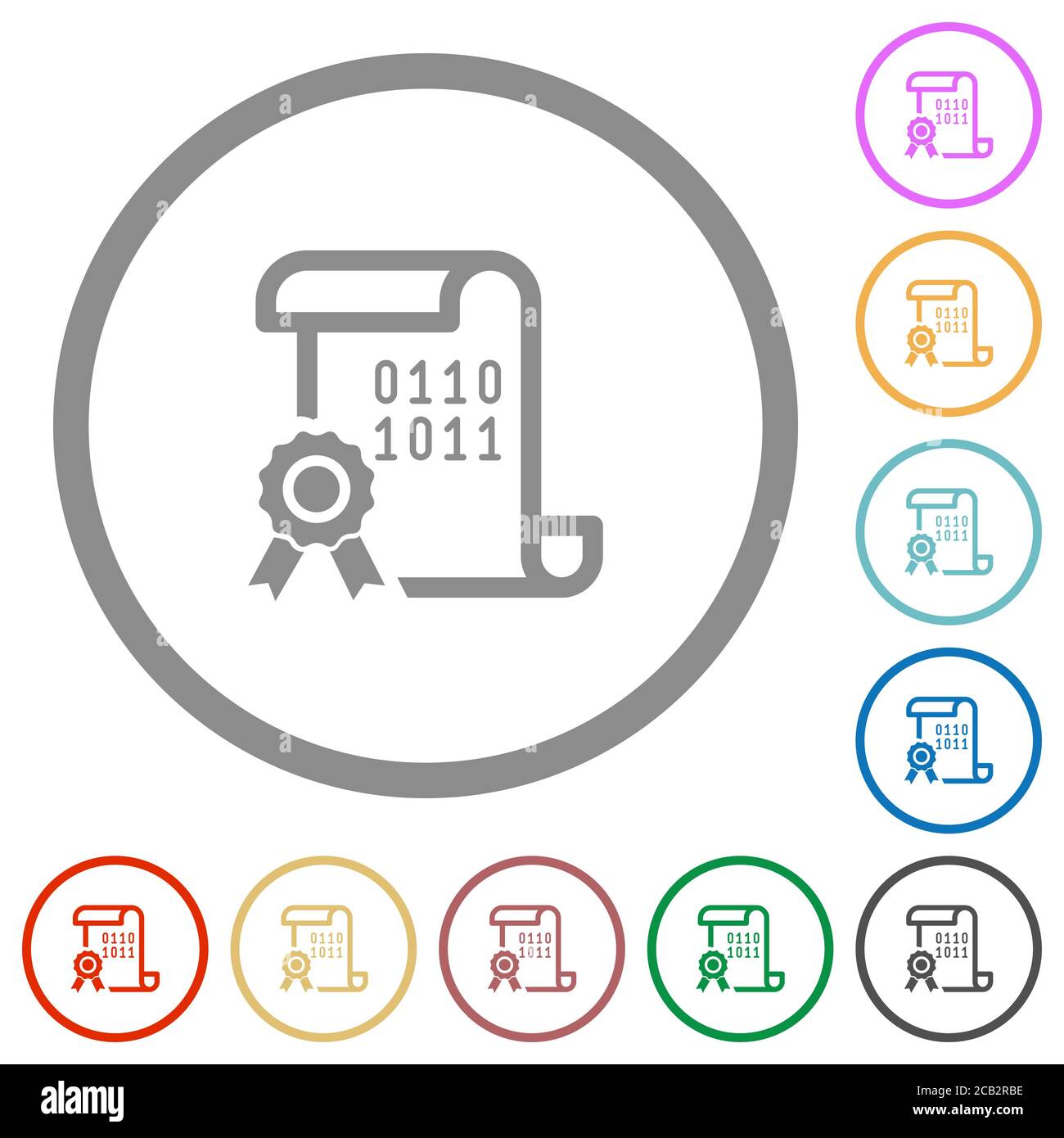 Digital certificate flat color icons in round outlines on white ...