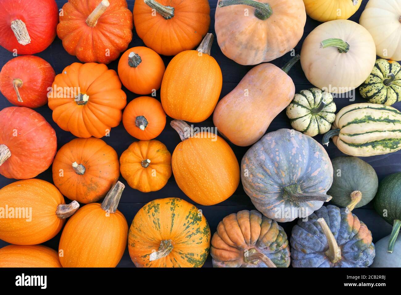 Pumpkins different varieties colors hi-res stock photography and images ...