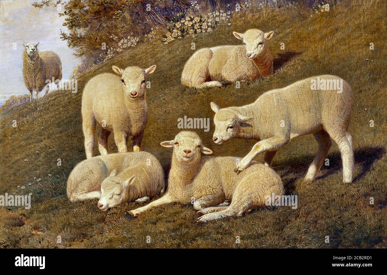April lambs hi-res stock photography and images - Alamy