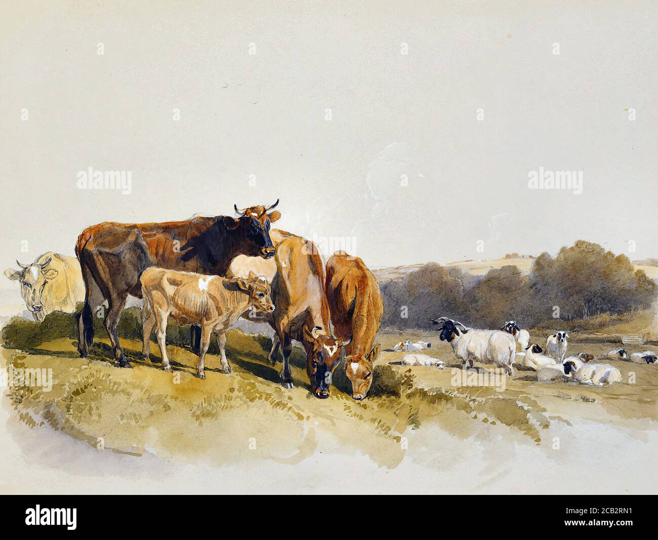 Keyl Friedrich Wilhelm - the Victoria Cow with Her Calves and a Flock ...