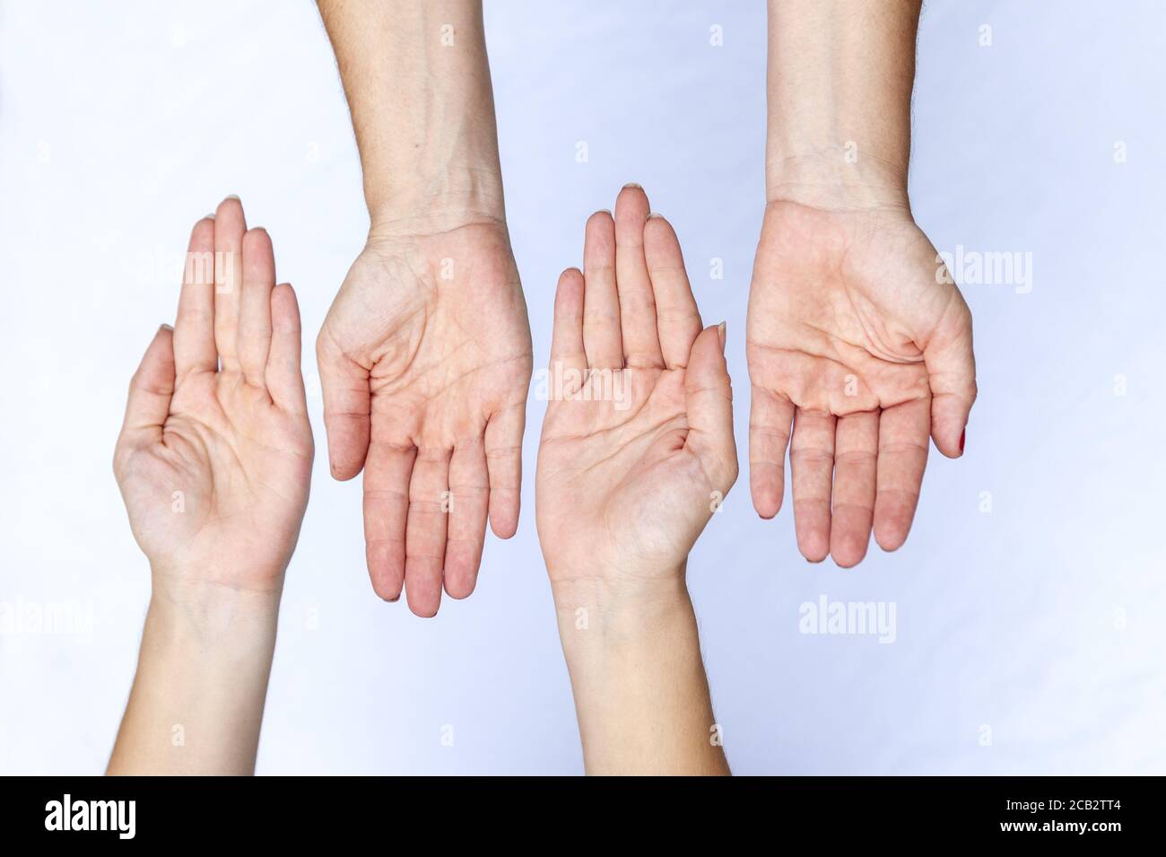 Symbol made with four hands with the palms up on the white surface ...