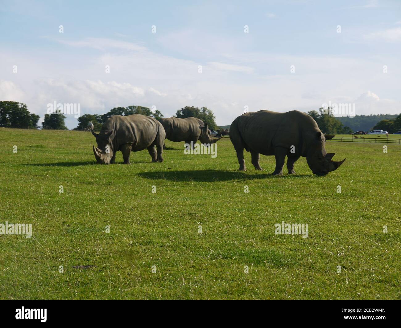 Longleat safari park hi-res stock photography and images - Alamy
