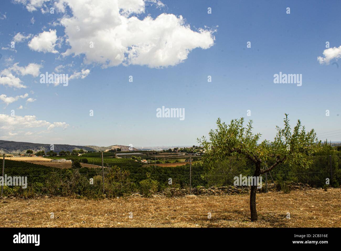 Fenced field under blue sky and white clouds Stock Photo - Alamy