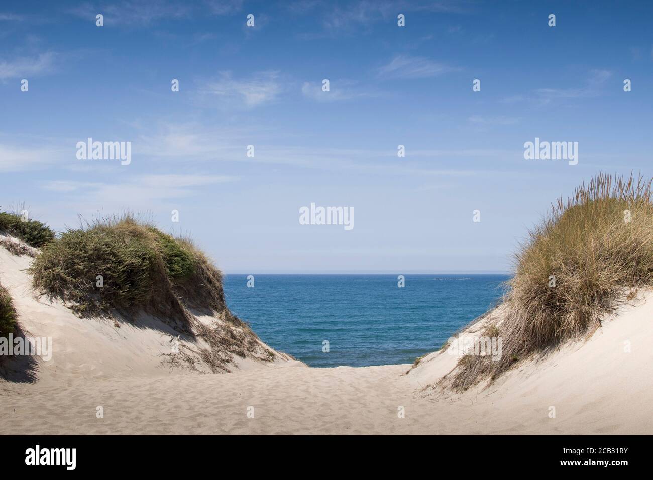 Deserted beach landscape with grassy dunes on the sand and clouds in ...