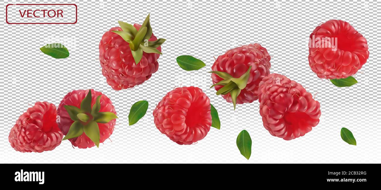 Raspberry falling from different angles. Flying raspberry with green ...