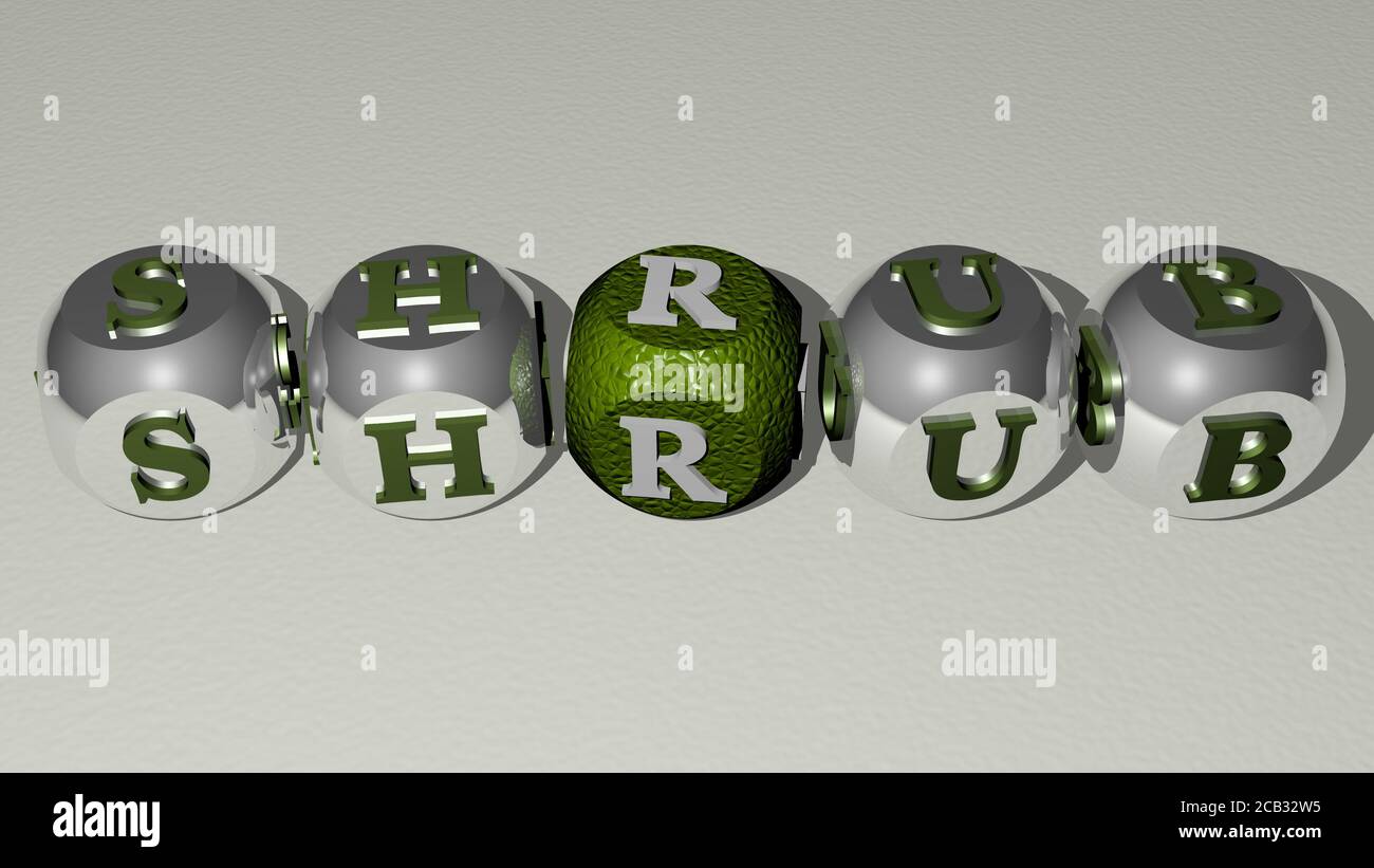 SHRUB text by cubic dice letters. 3D illustration. background and green ...