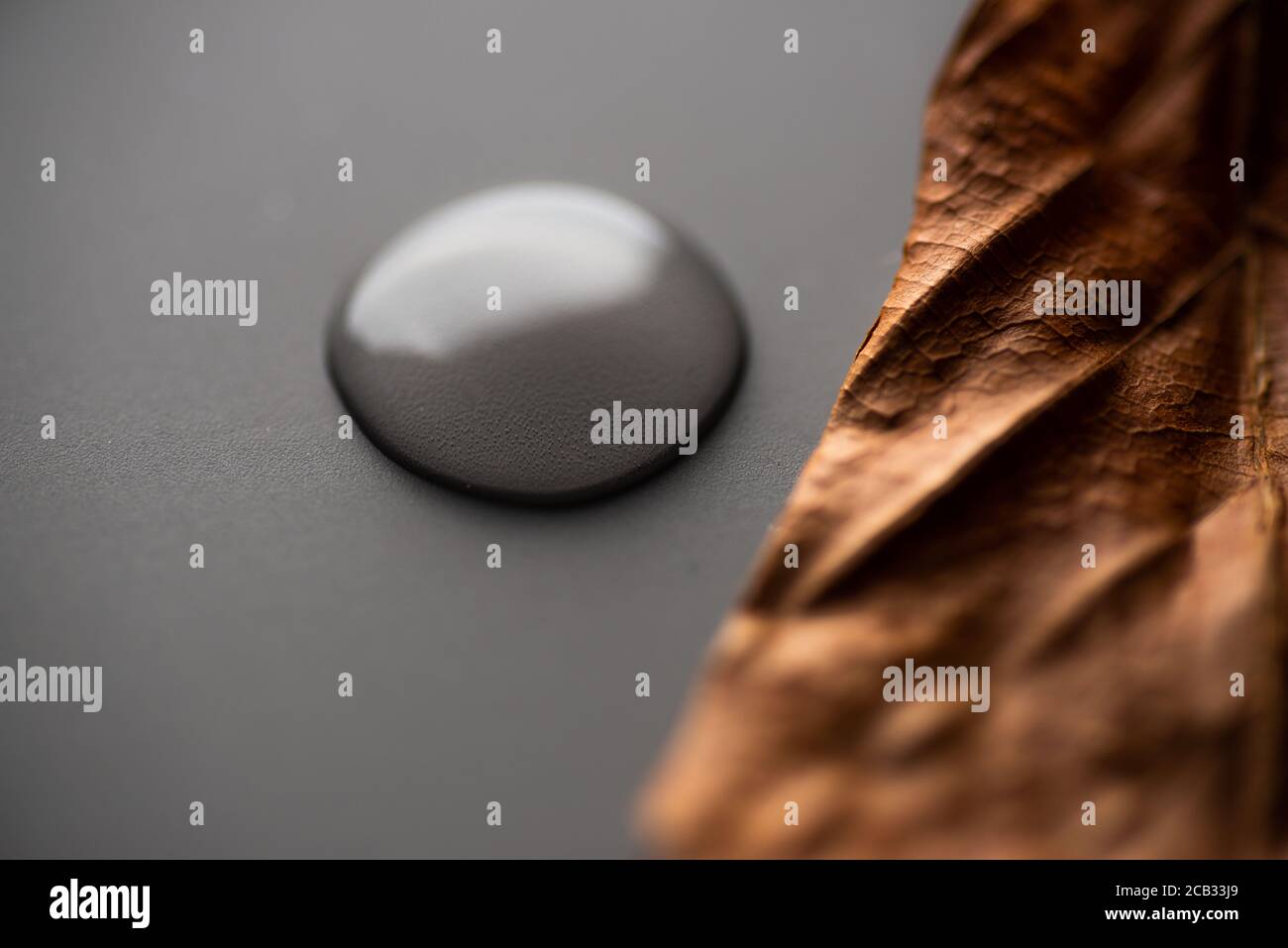 Water droplets on flat grey surface Stock Photo - Alamy