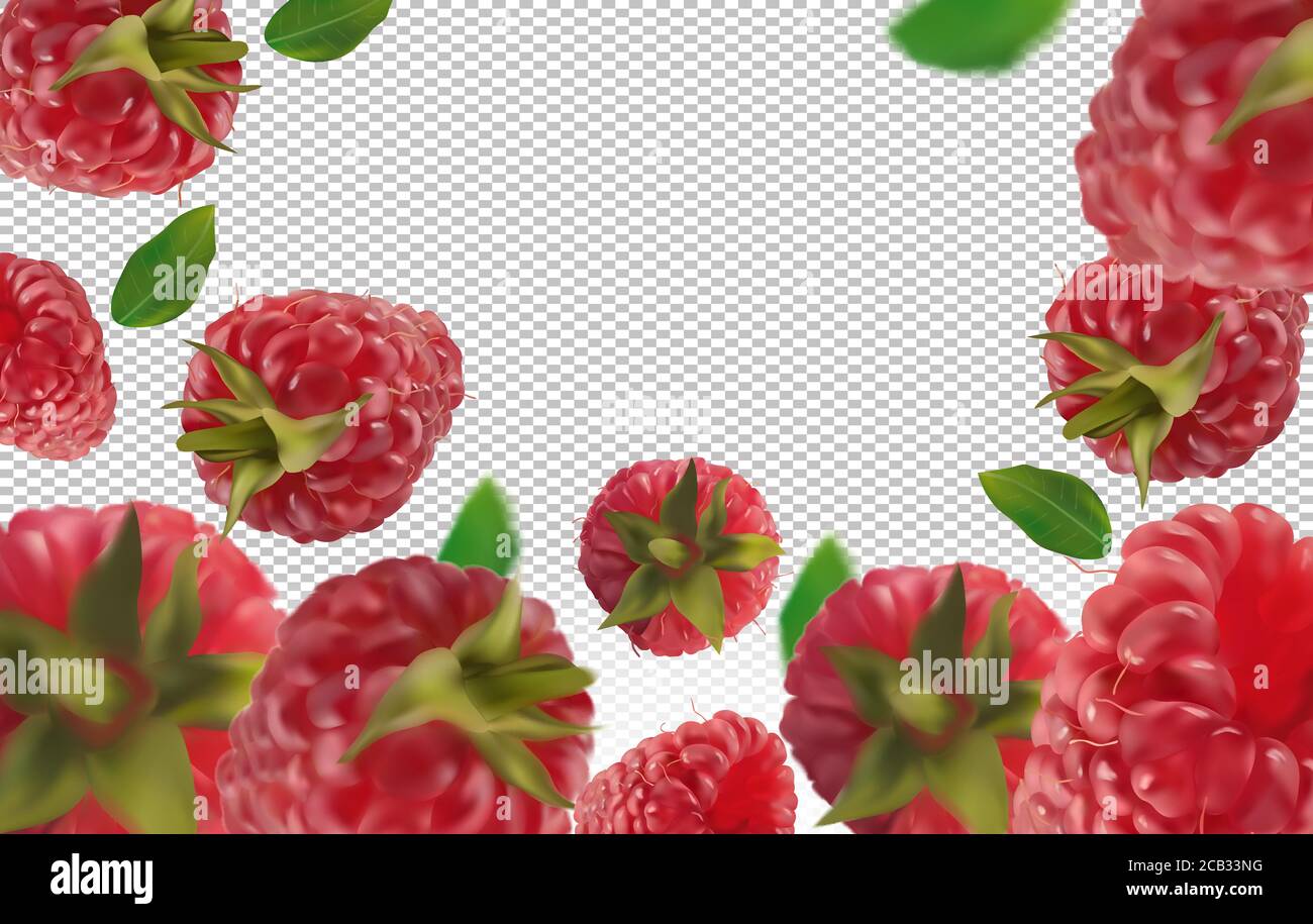 Raspberry background. Flying raspberry with green leaf on transparent ...