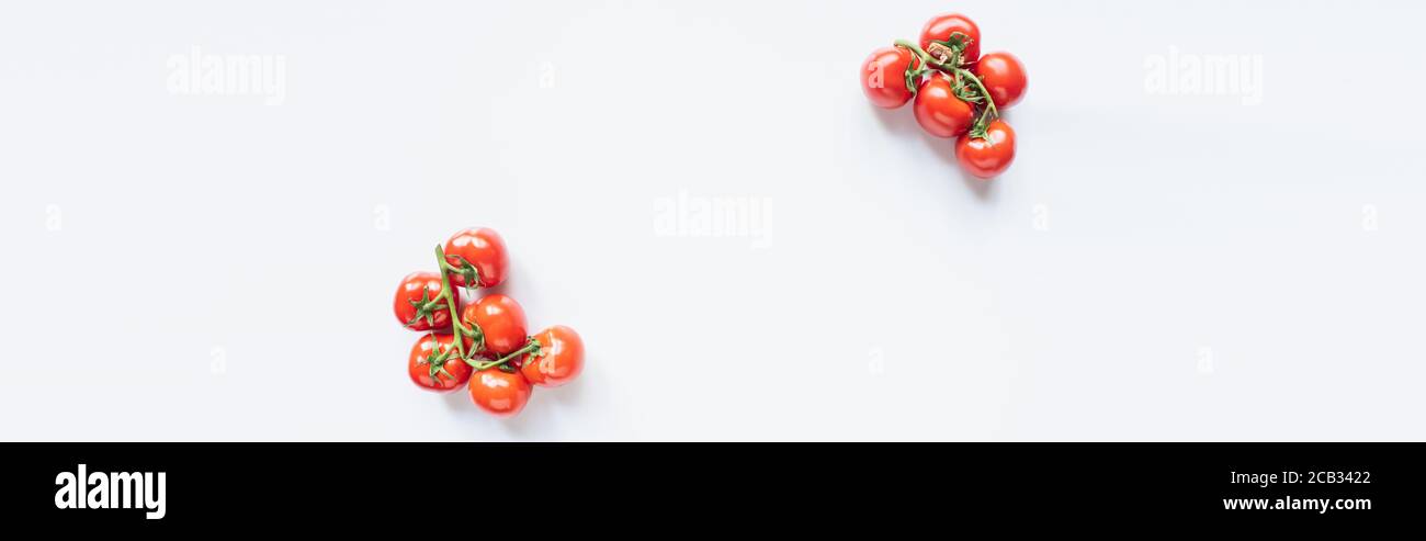 top view of red ripe fresh tomatoes on branches on white background ...