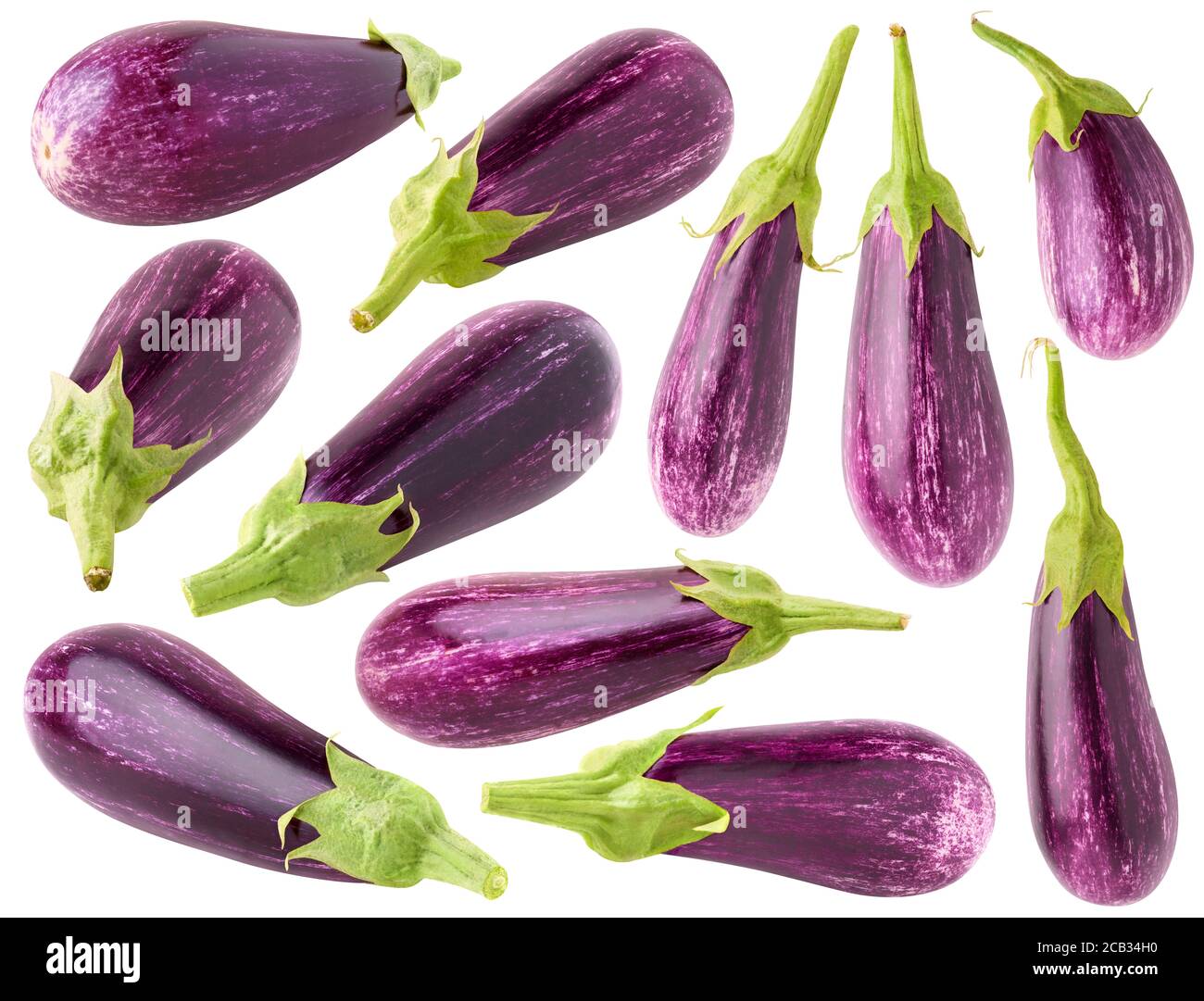 Isolated aubergine collection. 11 raw purple eggplants of different ...