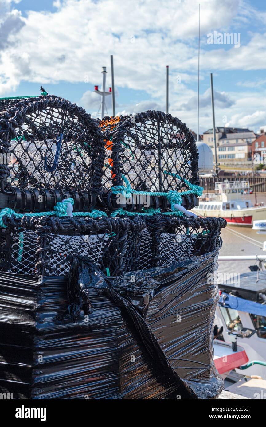 Lobster pattern hi-res stock photography and images - Alamy