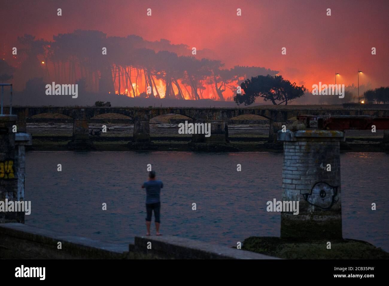 Chiberta forest arson on July 2020, 30 th. The arson devastated 165 ...