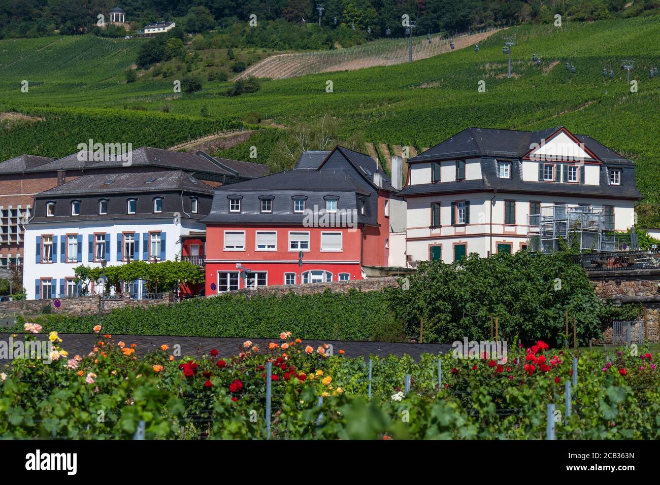 Rüdesheim am Rhein, wine making town in Hesse, Germany Stock Photo - Alamy