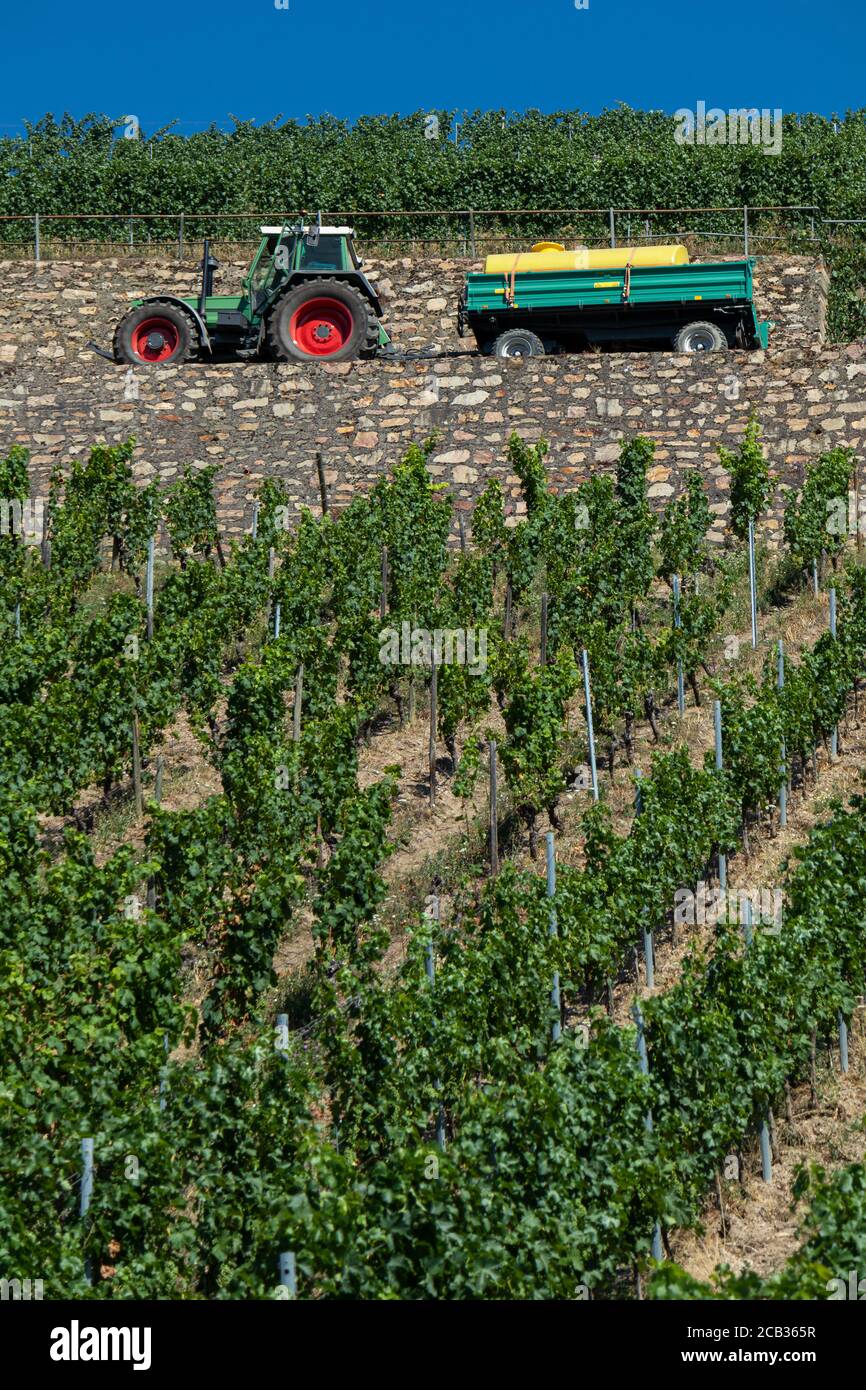 Vineyard tractor hi-res stock photography and images - Alamy