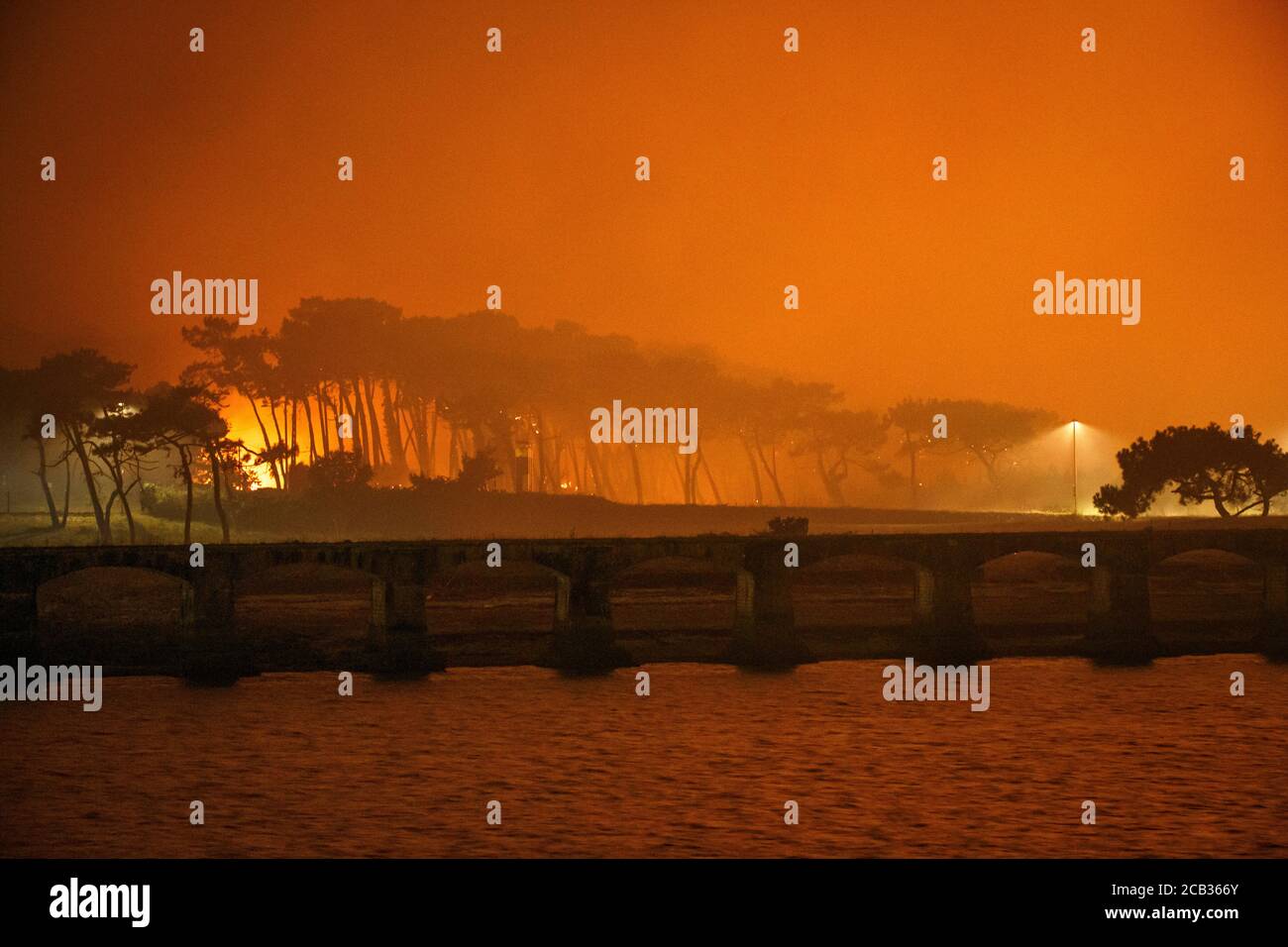 Chiberta forest arson on July 2020, 30 th. The arson devastated 165 ...