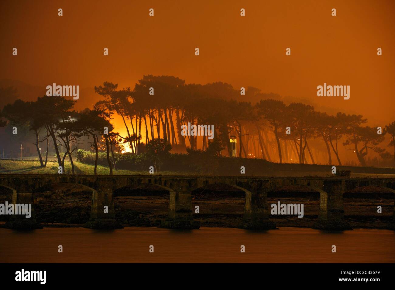 Chiberta forest arson on July 2020, 30 th. The arson devastated 165 ...