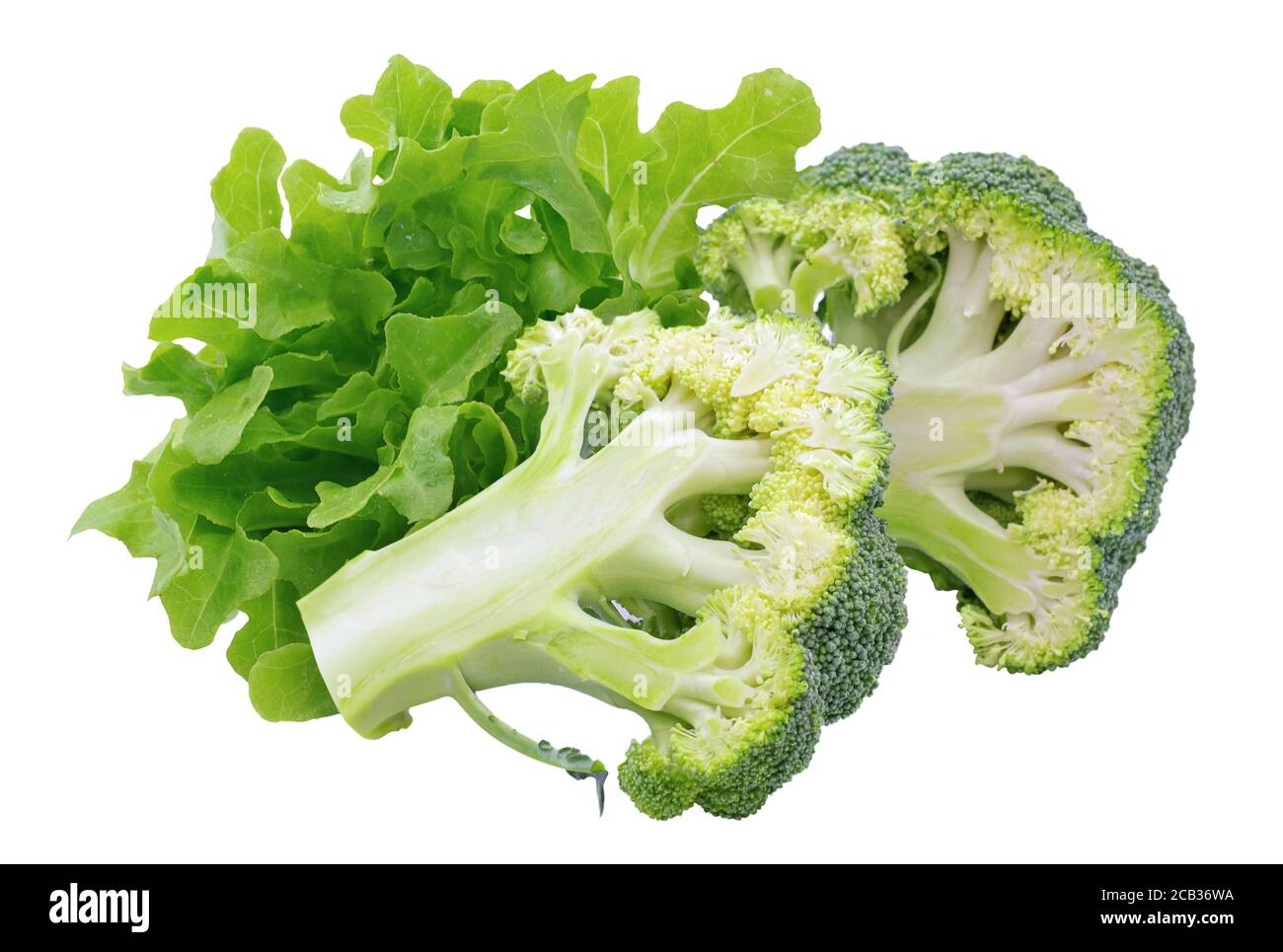 broccoli isolated on white background Stock Photo - Alamy