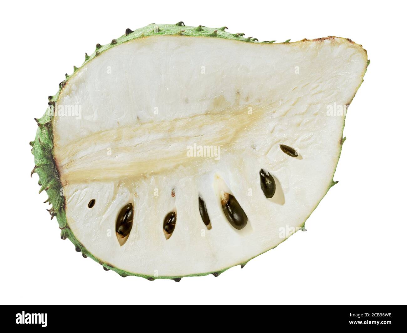 Soursop fruit isolated on white background Stock Photo - Alamy