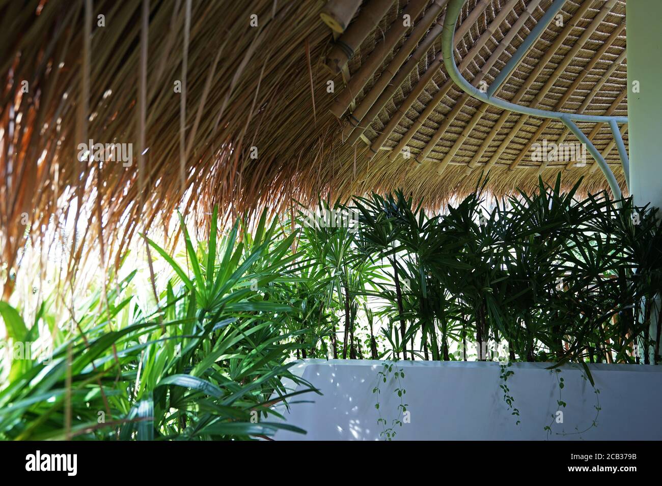 Natural balcony hi-res stock photography and images - Alamy