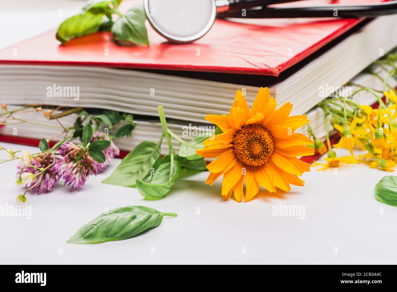 herbs in book with stethoscope on white background, naturopathy concept ...