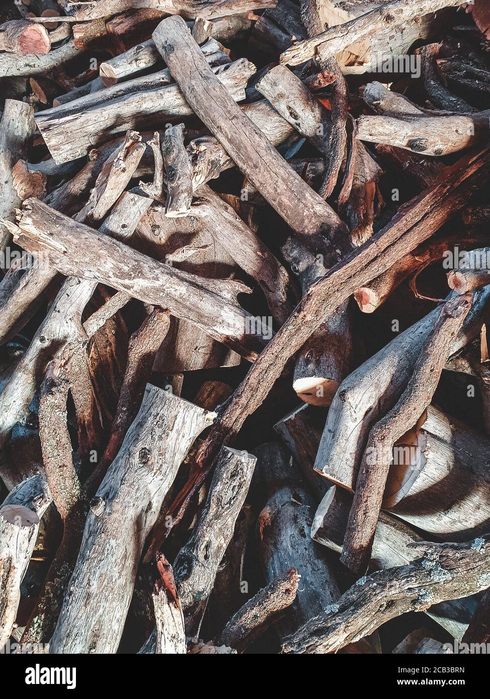 Snapped branch hi-res stock photography and images - Alamy