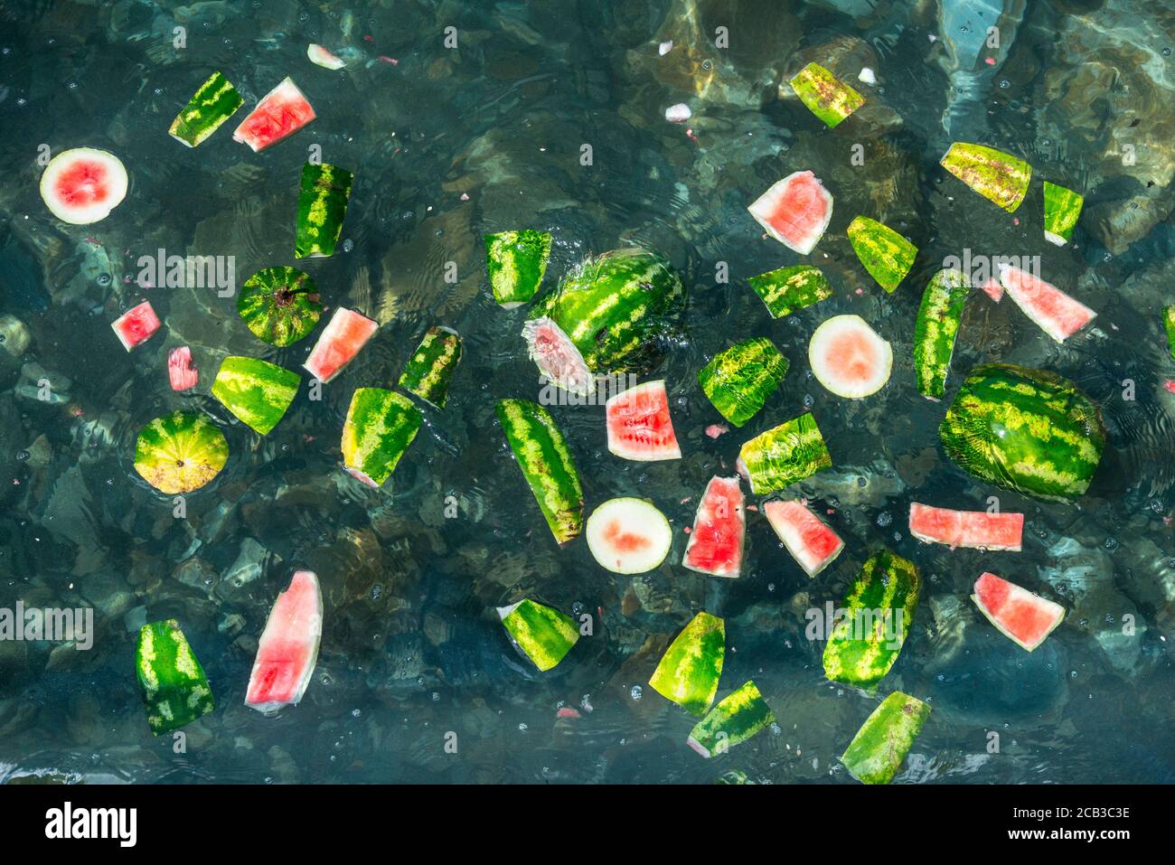 Pieces of watermelon floating in the sea, Mount Athos, Northern Greece ...