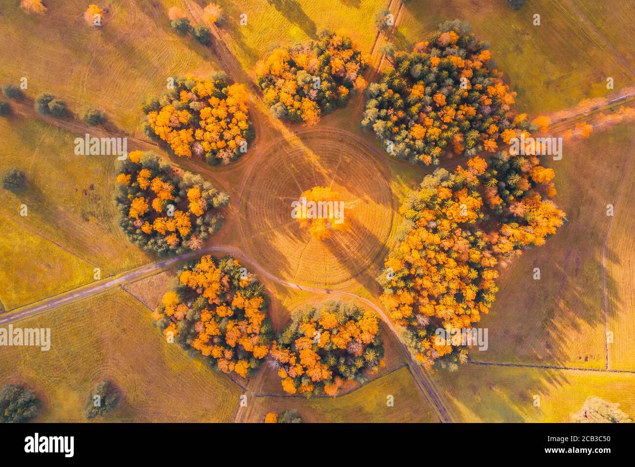 Aerial view of the a group trees planted in a circle in an autumn park ...