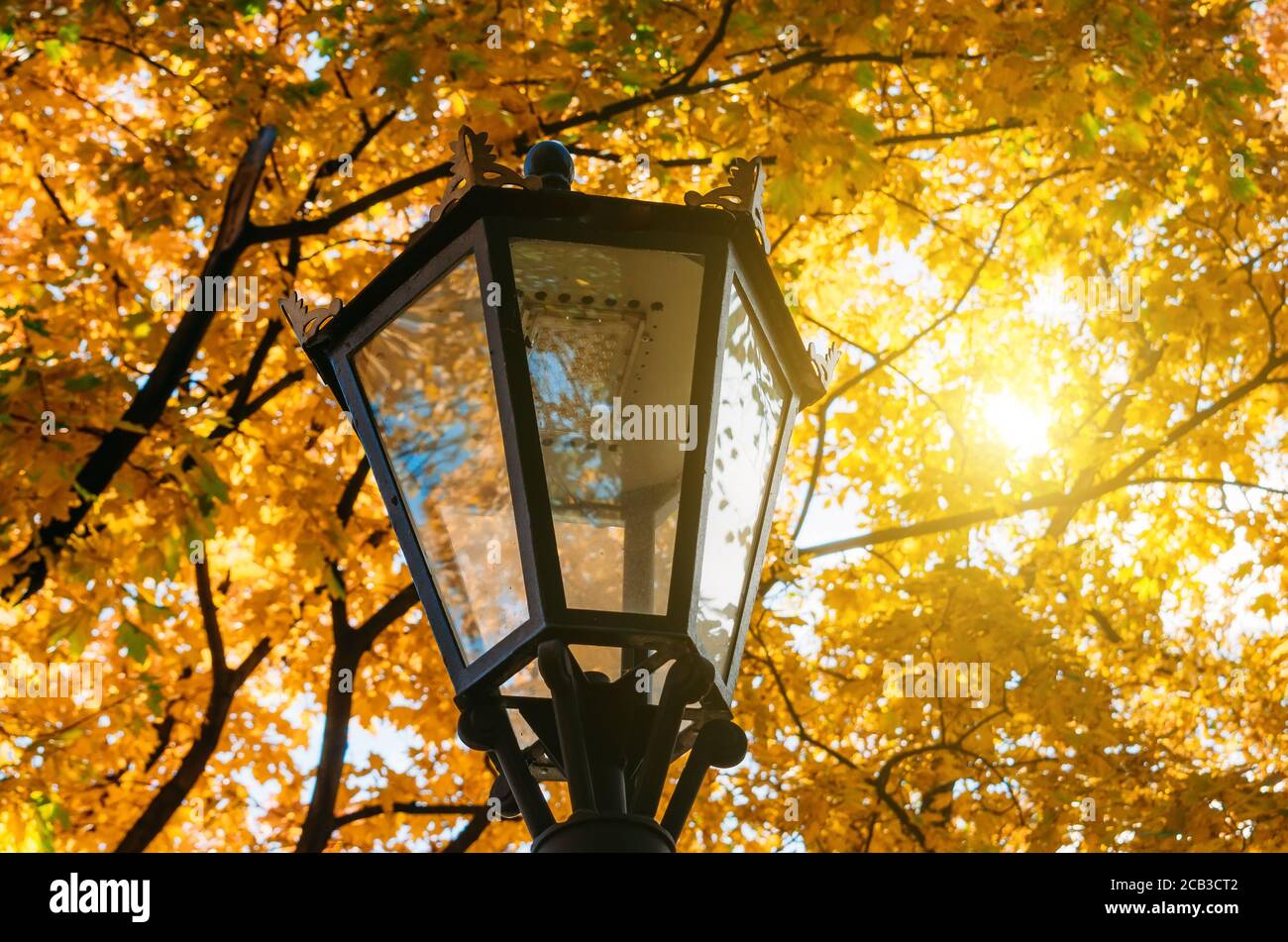 Garden path with autumn leaves and an outdoor lamp hi-res stock ...