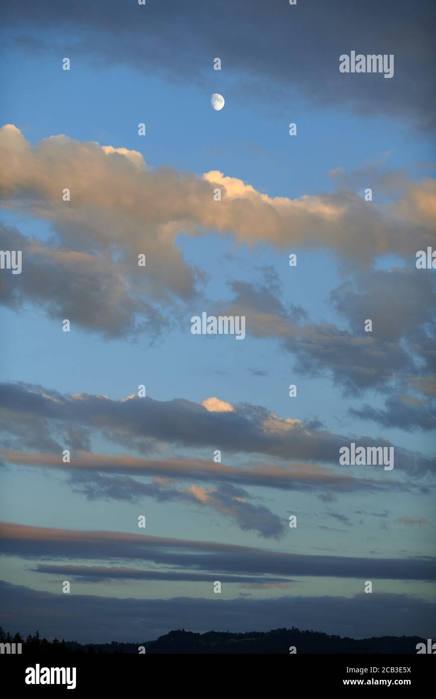 Vertical shot of the moon in the beautiful evening sky Stock Photo - Alamy