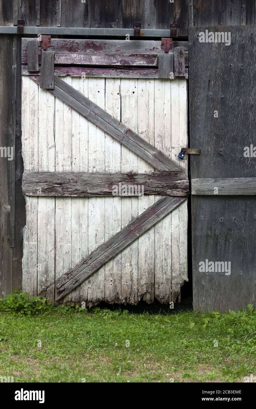 Vertical shot of an old rusted barn door with newly grown grass at the ...